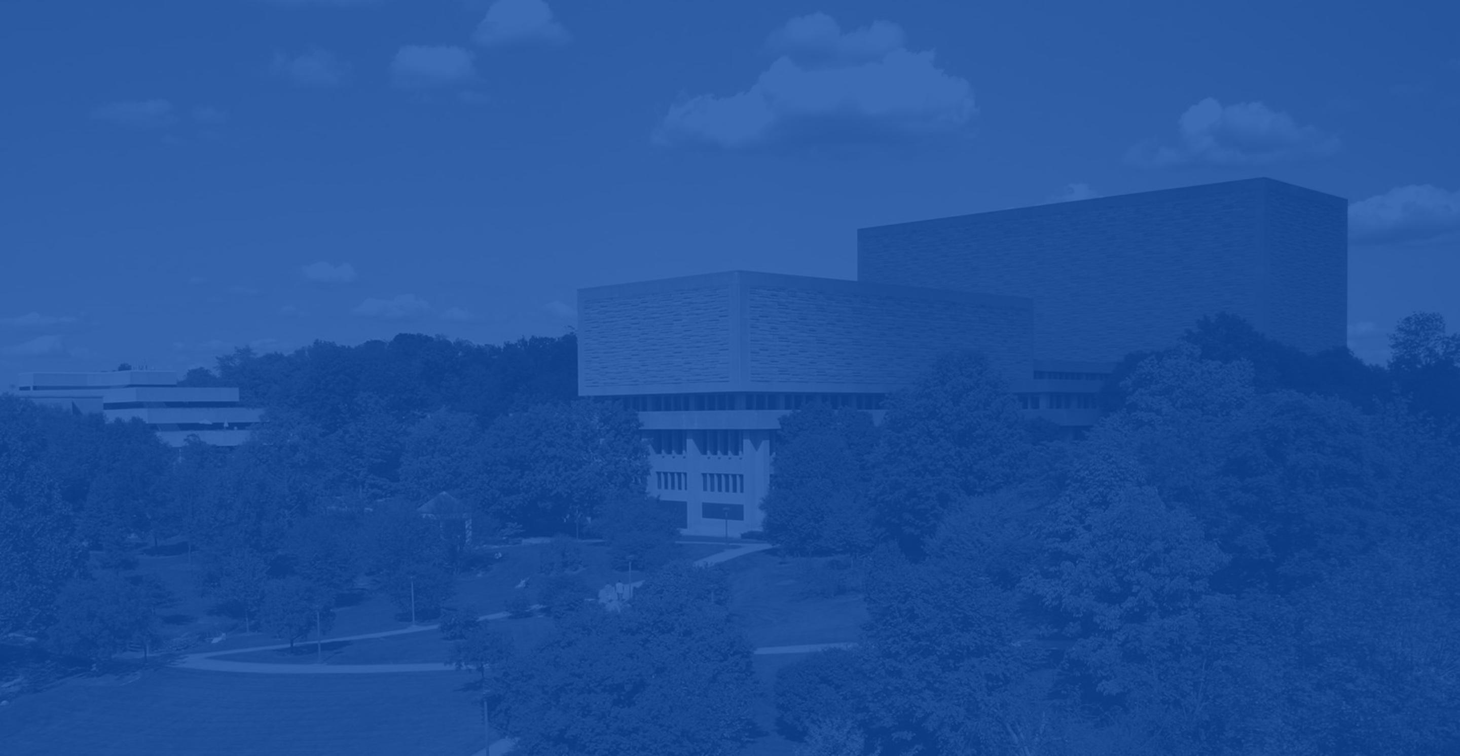 Improving access to information at Indiana University Libraries | Bluespark